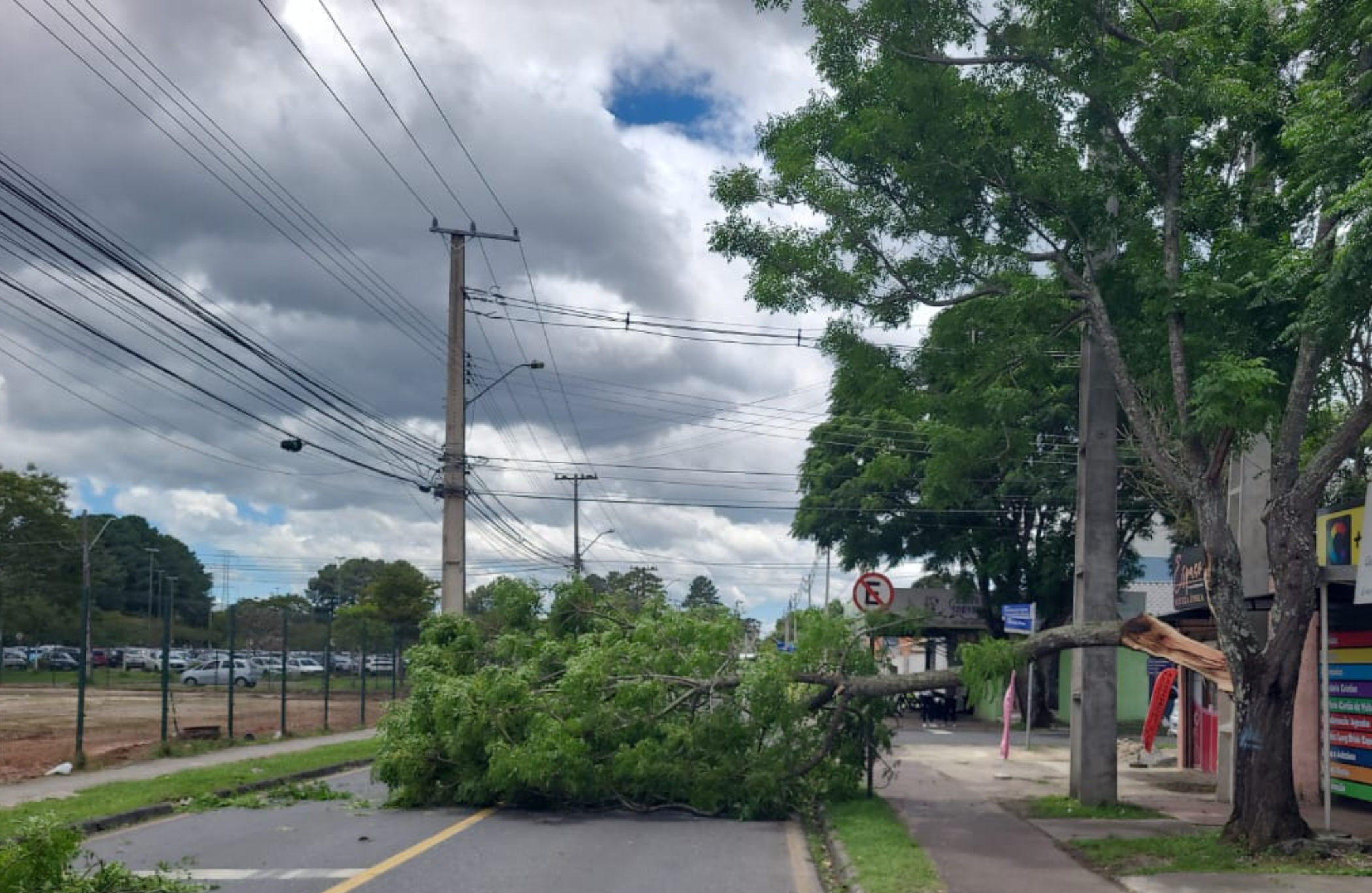 Em São José dos Pinhais, ventos destelharam casas e derrubaram 42 árvores